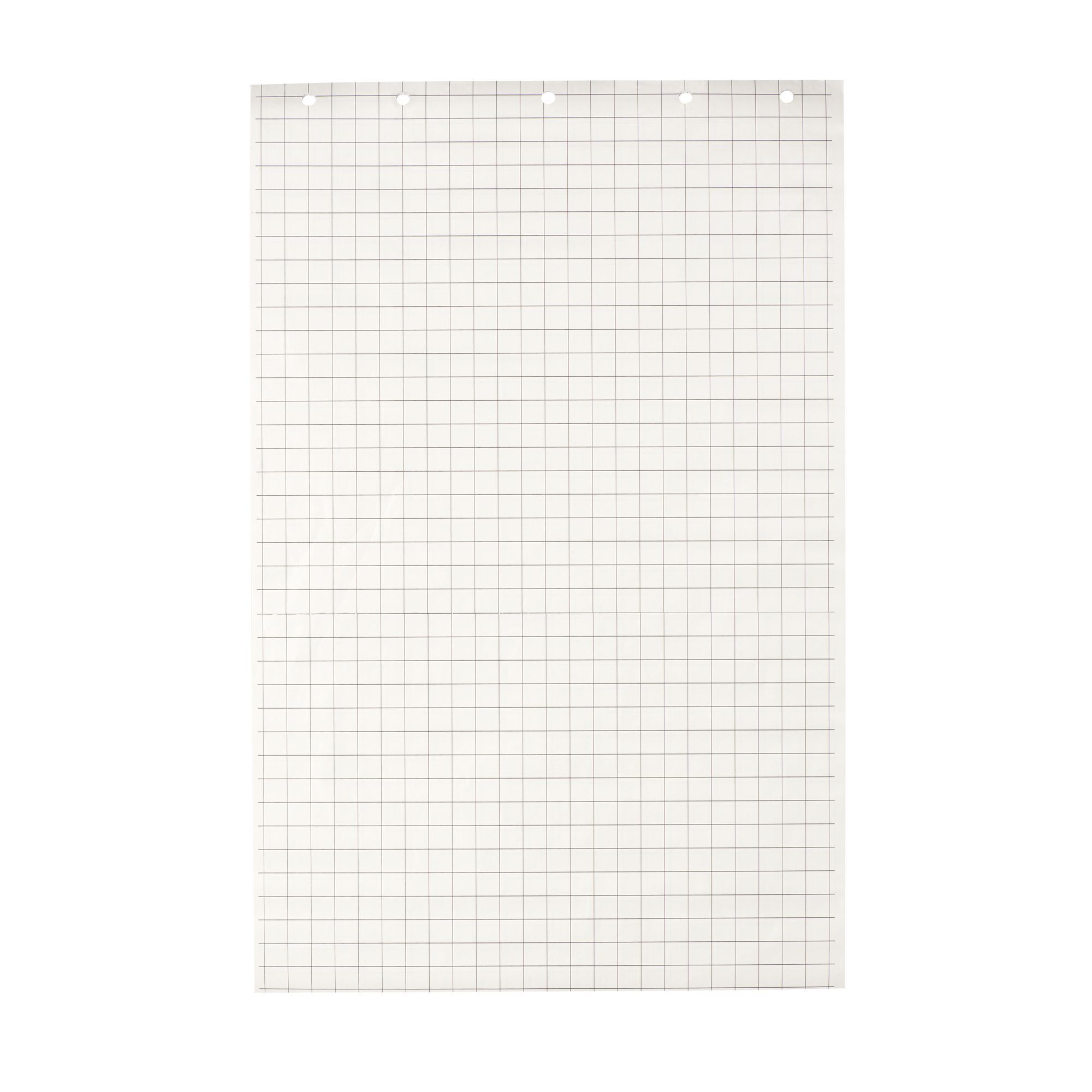 Blok 48 vellen wit geruit papier voor flip-over Exacompta 65 x 100 cm