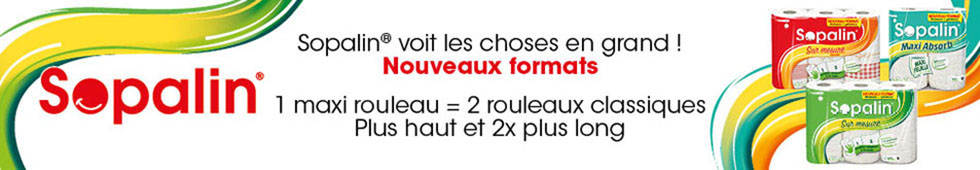 Sopalin sur Bruneau.fr