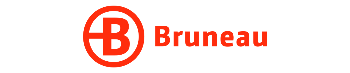 Il Gruppo Bruneau